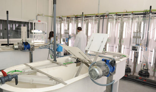 Cultivo de microalgas en una planta piloto versátil - IMDEA ENERGÍA
